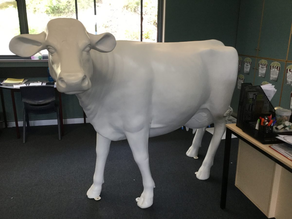 Discover Dairy - Picasso Cows Program - St Kevin's Dee Why