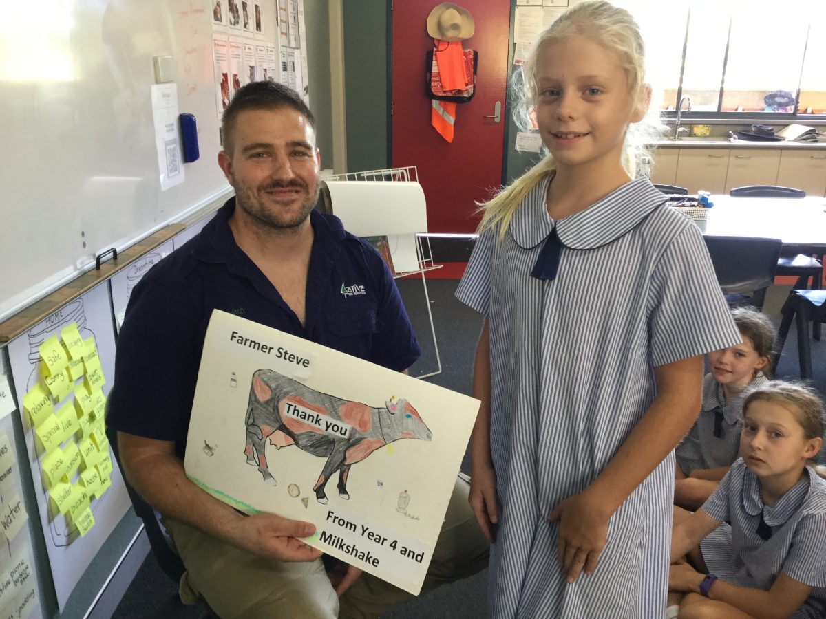 Discover Dairy - Picasso Cows Program - St Kevin's Dee Why